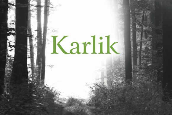 Encountering Elemental Beings - Conversations with KarlikFloris Books Blog