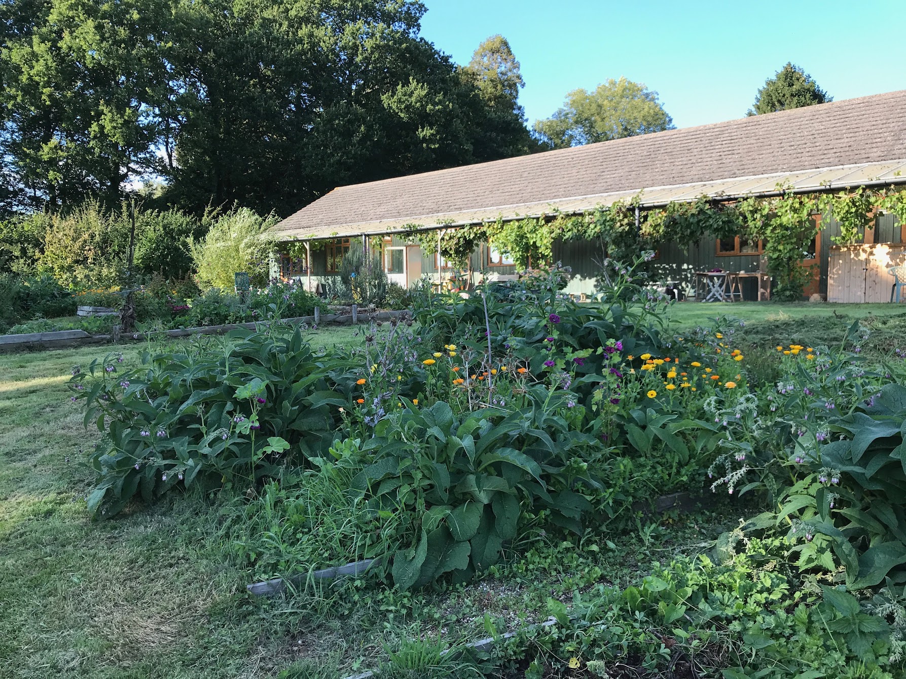 Europe’s First Biodynamic Botanic Garden Opens at Emerson College - May ...
